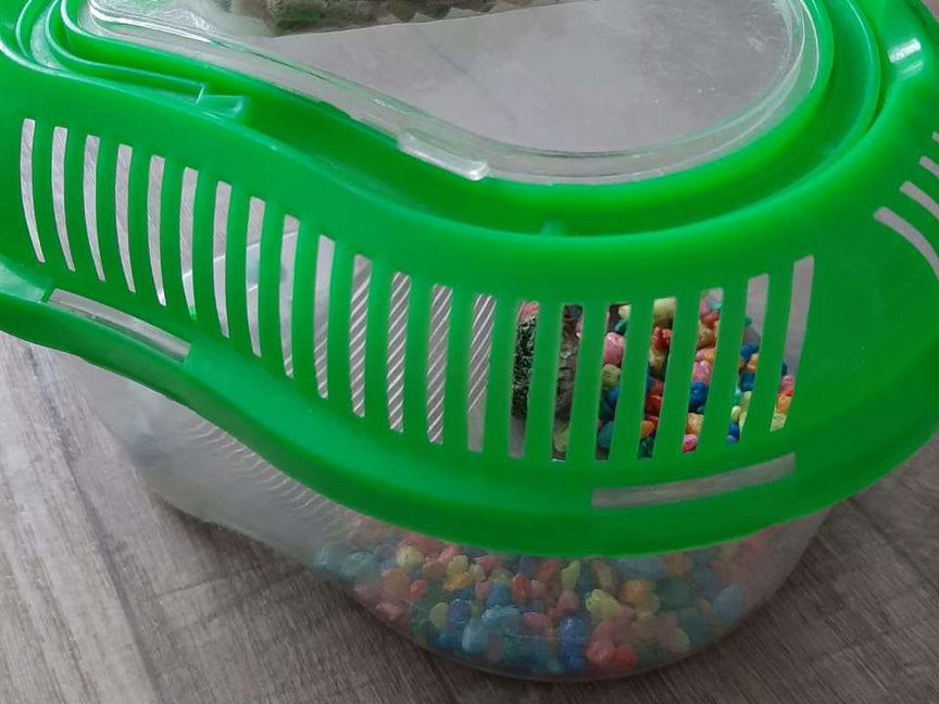 Контейнер-аквариум для черепах