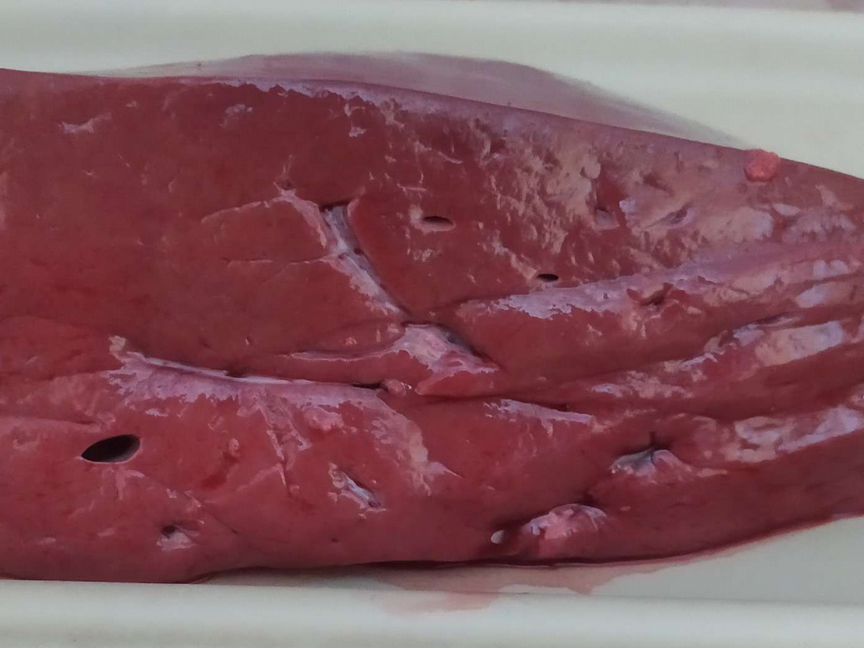 Печень говяжья