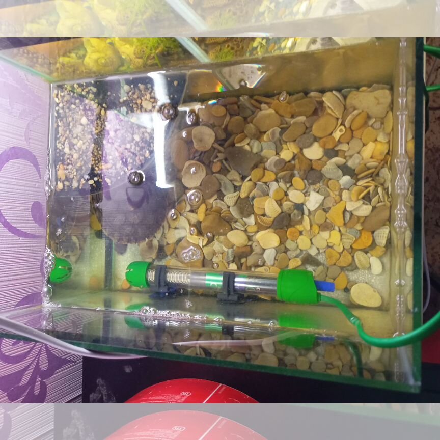 Аквариумные рыбки