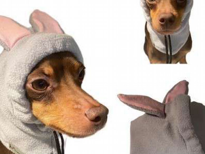 Шапка снуд для собаки s m