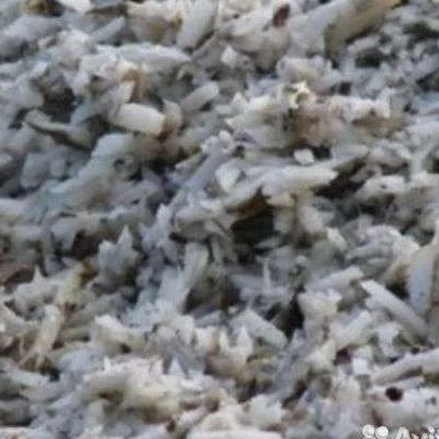 Жом свекловичный