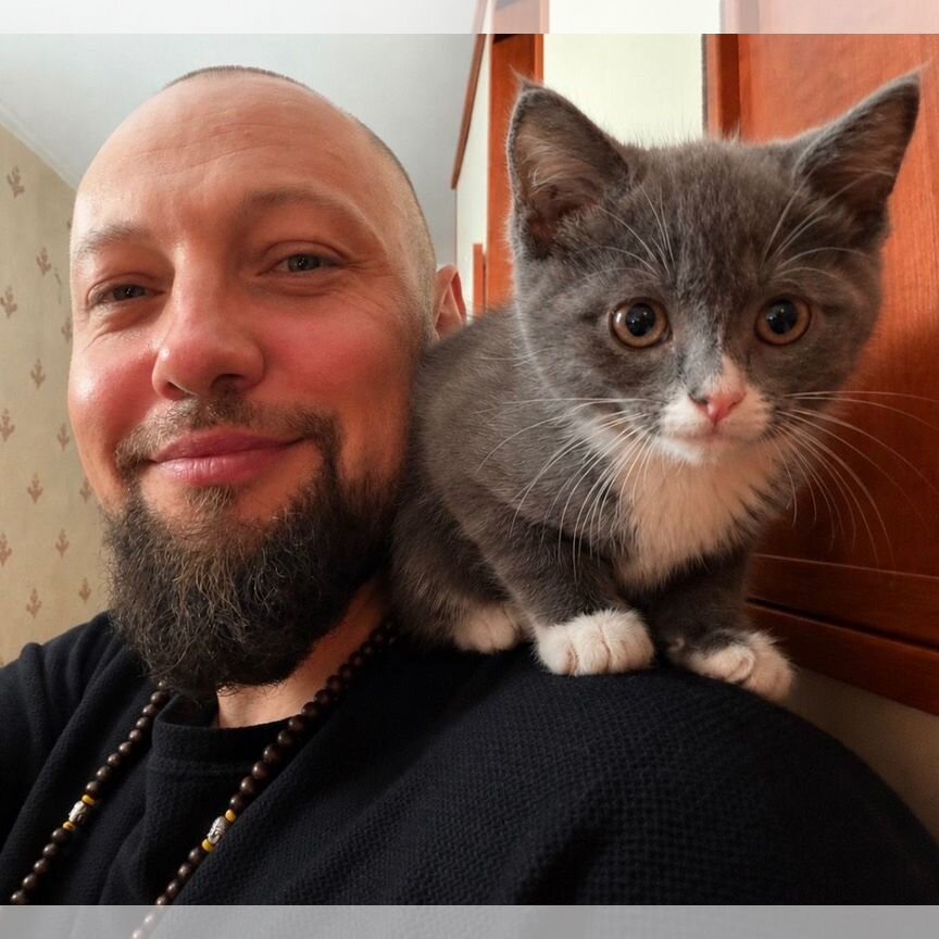 Котёнок в добрые руки