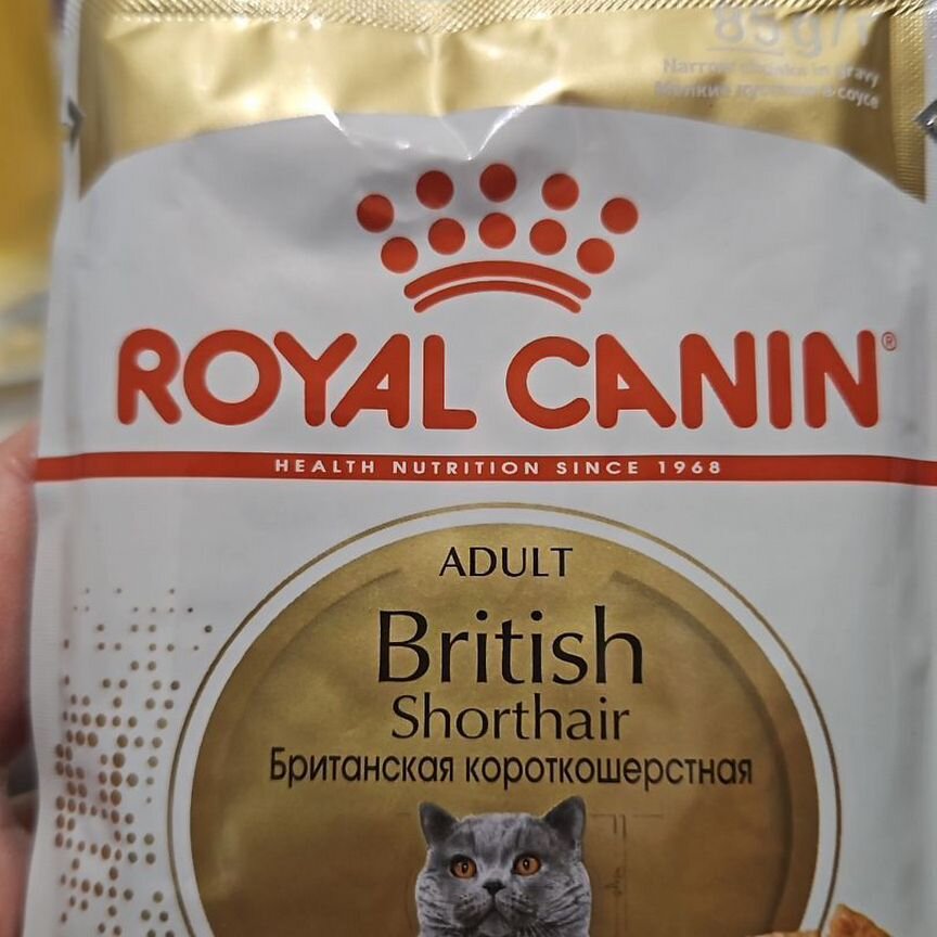 Влажный корм для кошек royal canin