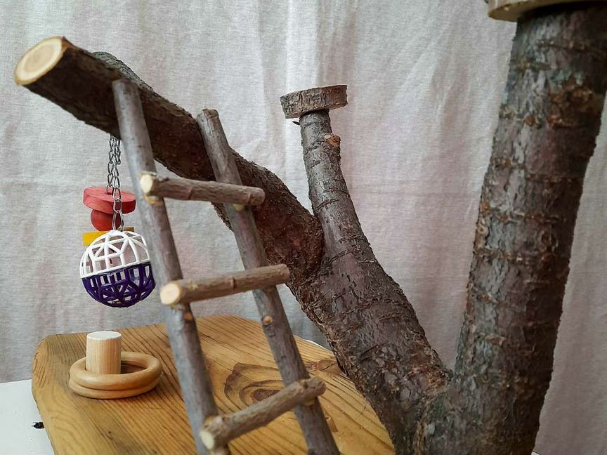 Игровая площадка для попугаев