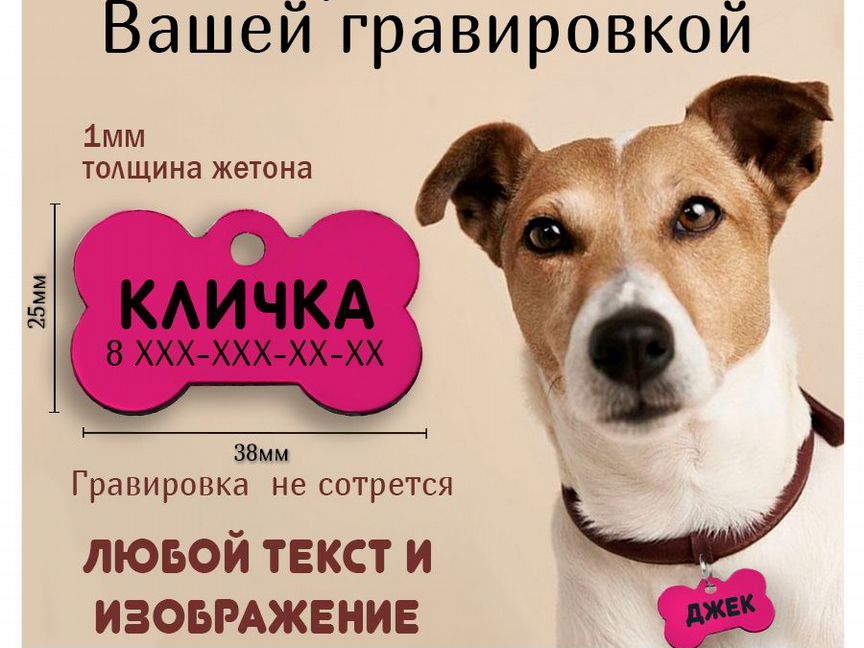 Адресник для кошек и собак, с гравировкой, большая