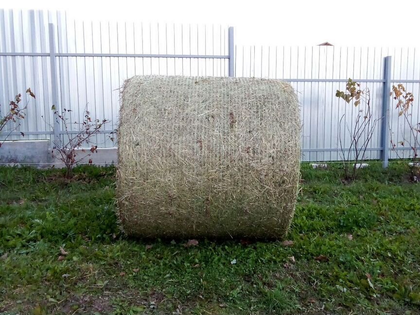 Солома в тюках