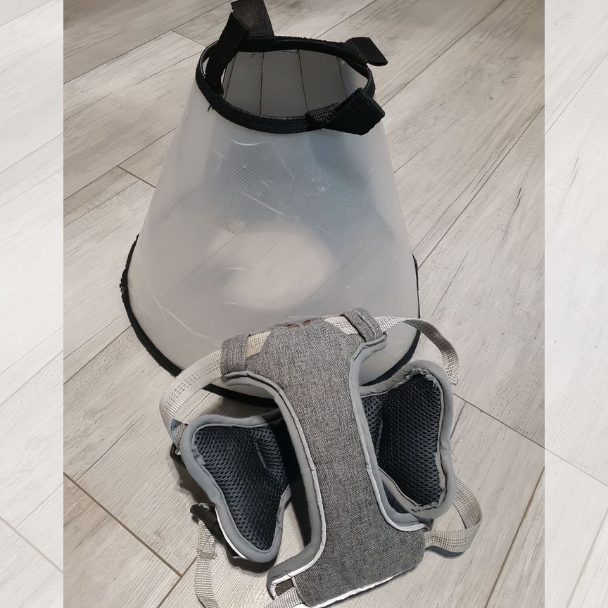 Воротник для собак 245 мм и шлейка