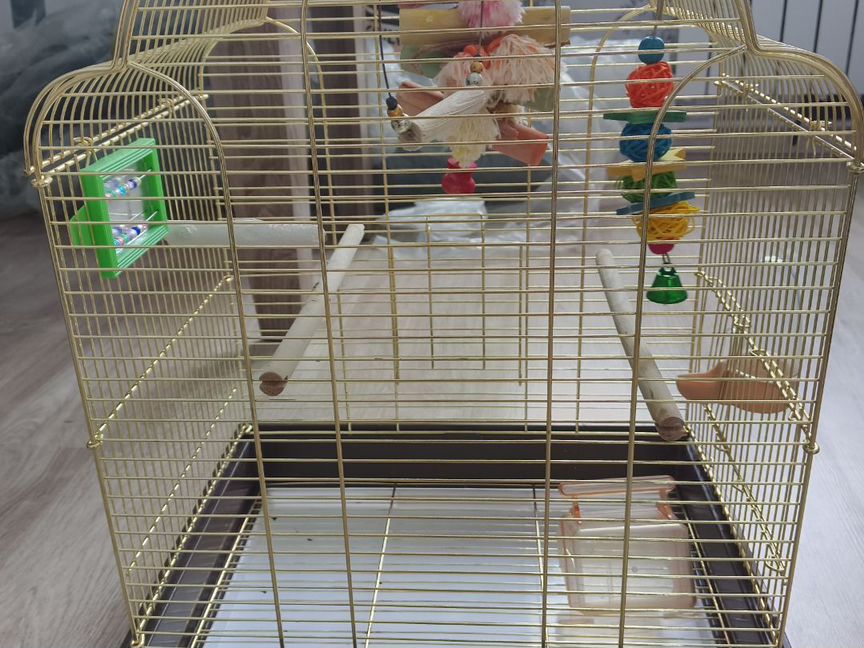 Клетка для попугая