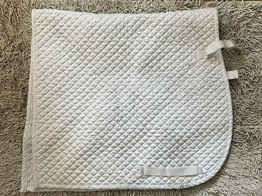 Конная амуниция (конный спорт)