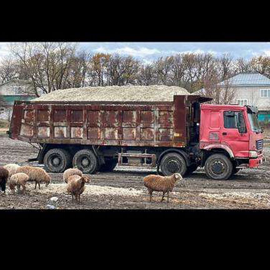 Жом свекловичный очень хорошего качества