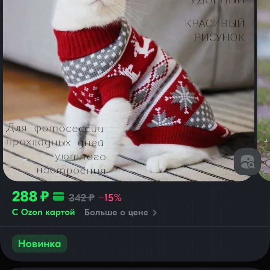 Новогодний свитер для любимца