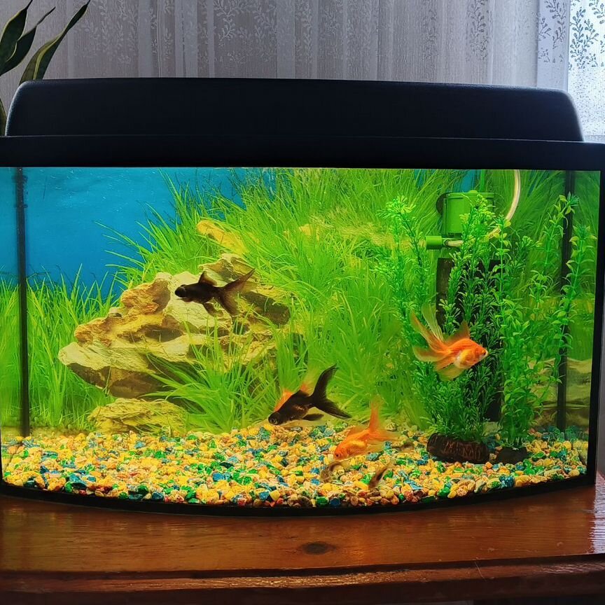 Аквариум 65 литров 64*26*42 высота