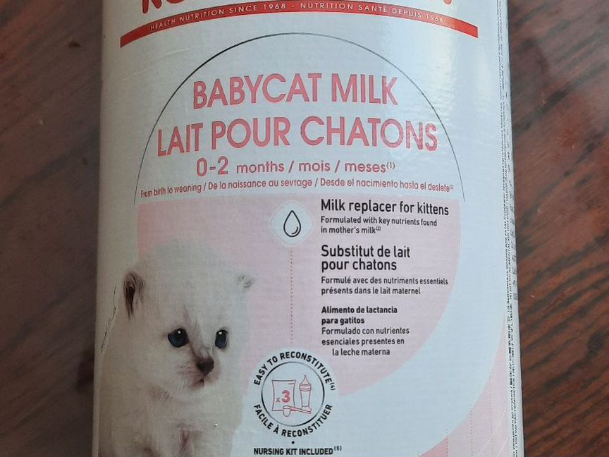 Сухое молоко для котят