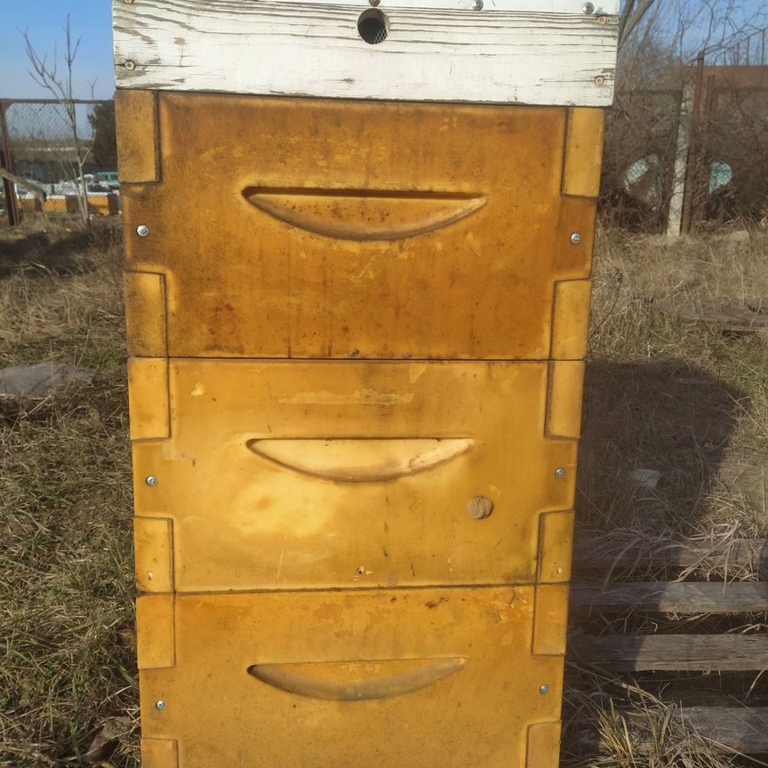 Ульи ППУ рут