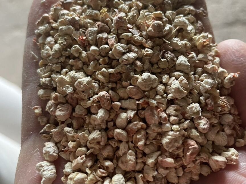 Кошачий туалет