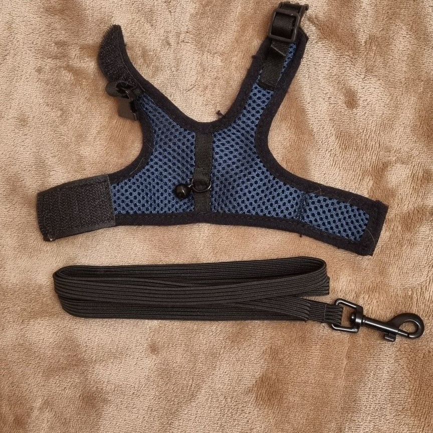 Шлейка для морской свинки