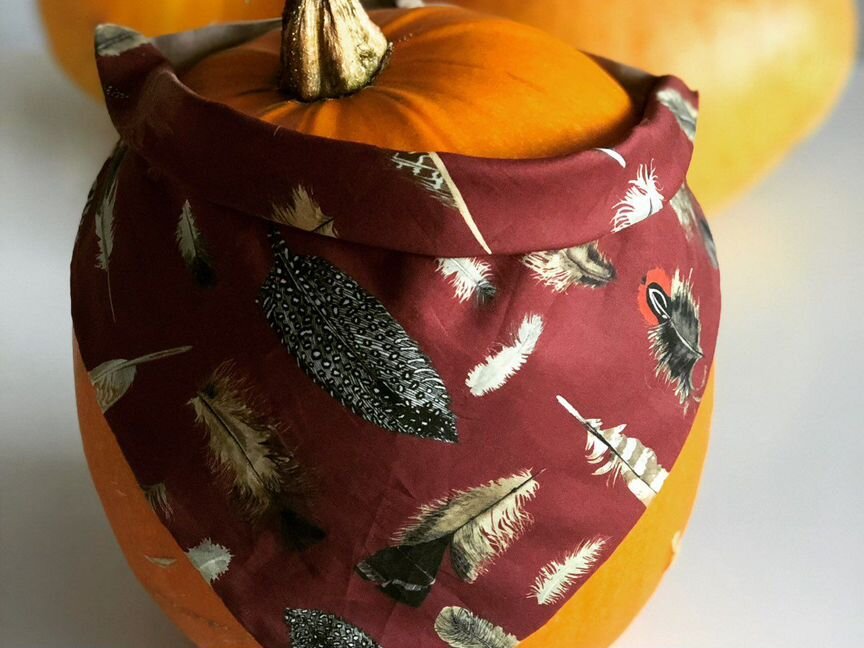 Бандана для собак