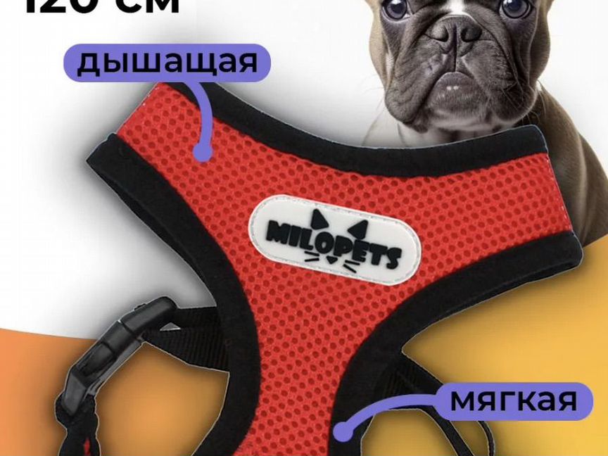 Шлейка для щенка/кошки