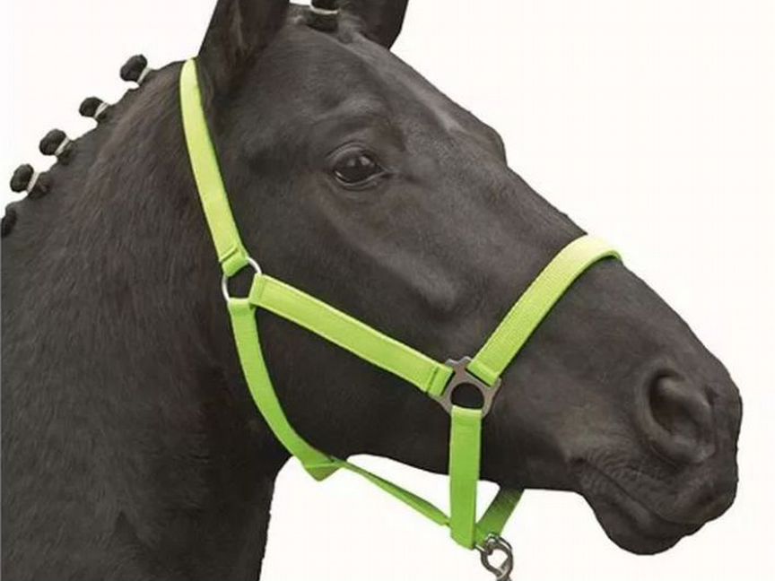 Недоуздок из Биотана