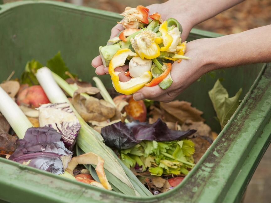 Пищевые отходы для животных