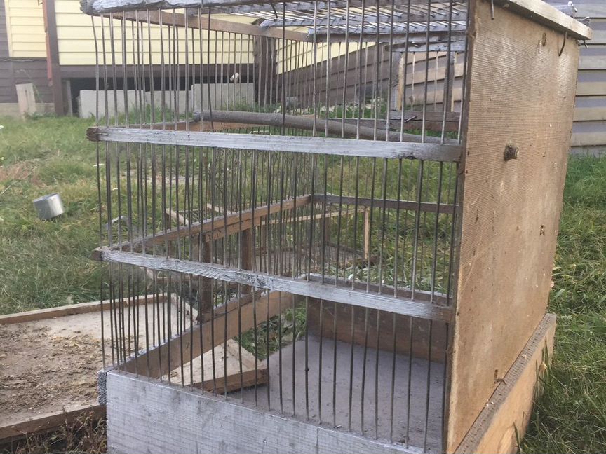 Клетка для птиц