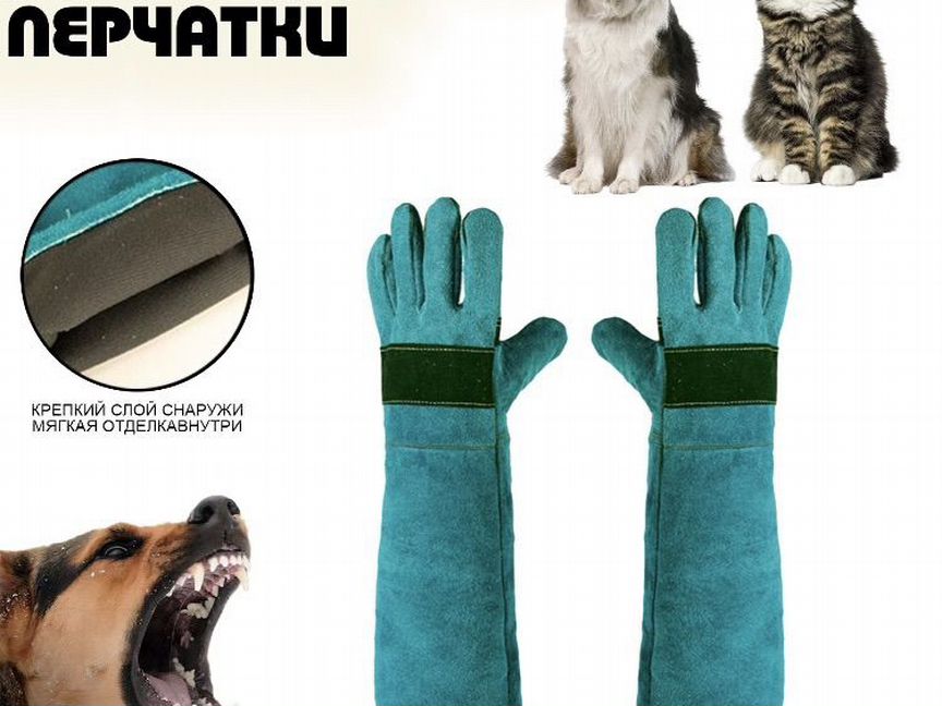 Ветеринарные перчатки