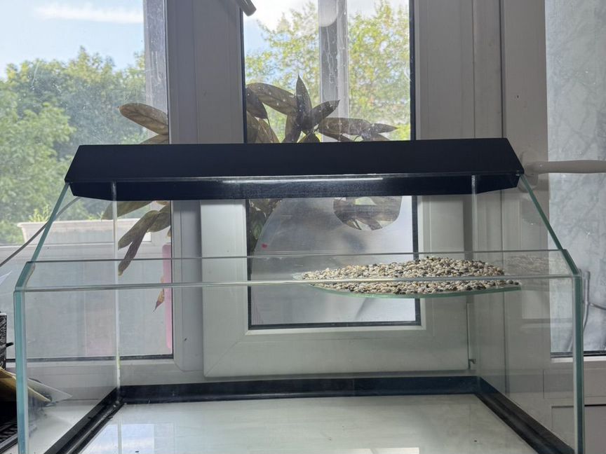 Аквариум для черепах