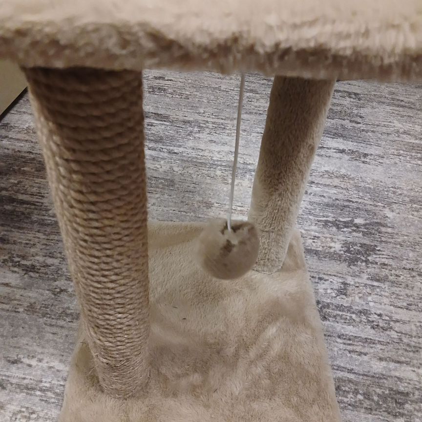 Когтеточка для кошек