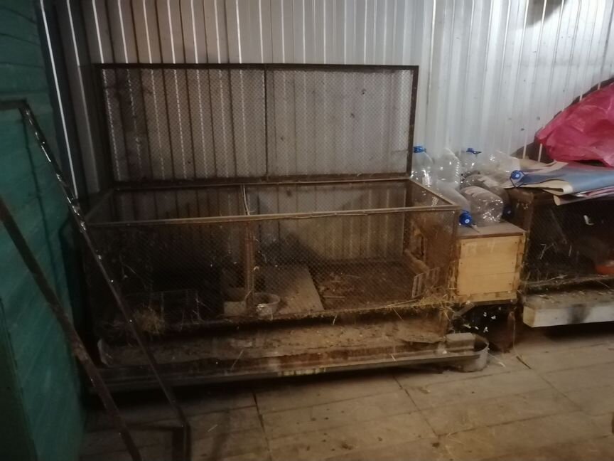 Клетка для кролика