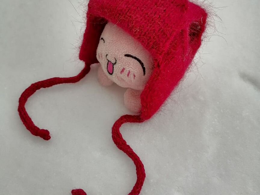 Шапочка для собаки