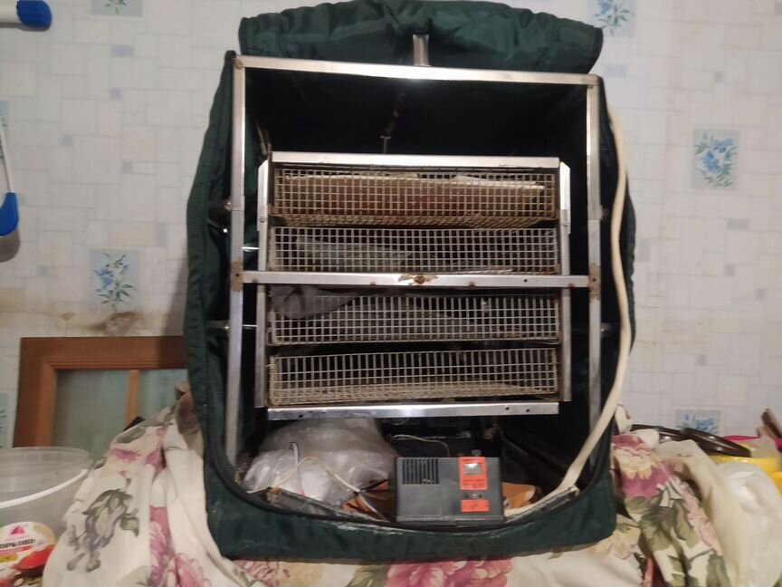 Инкубатор для яиц автоматический бу