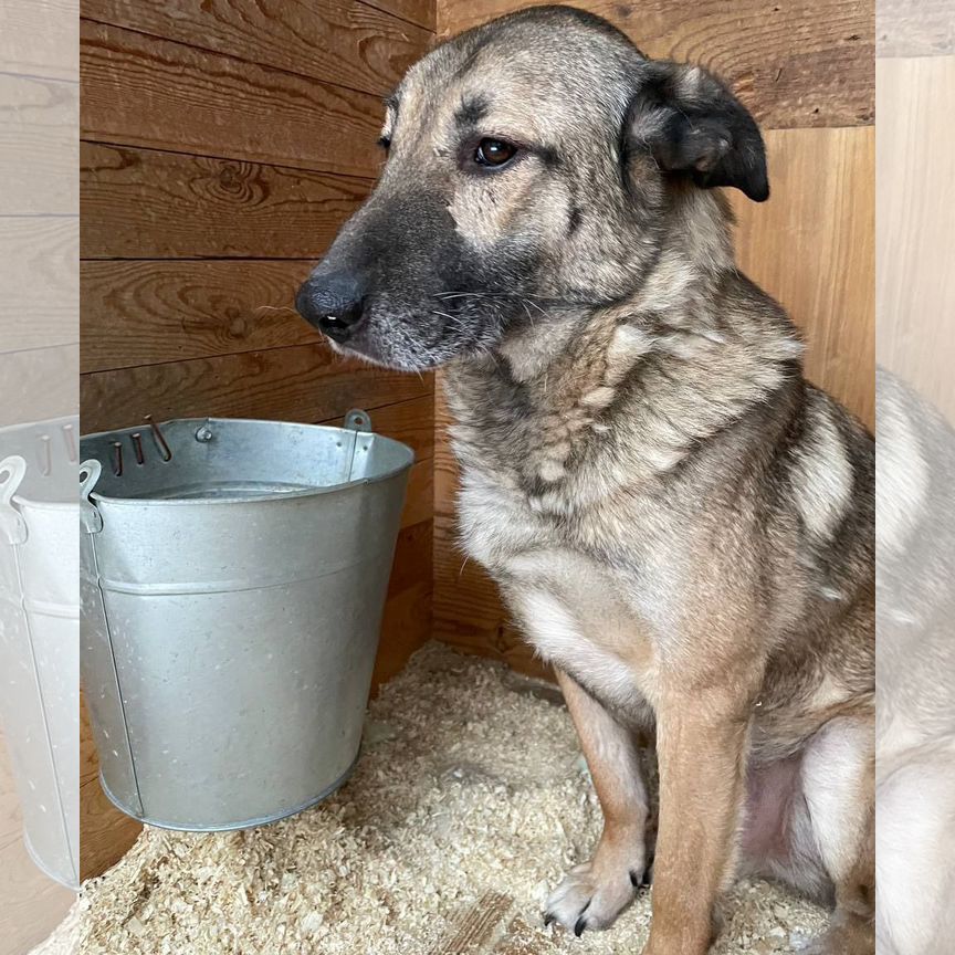 Каждый день Гирос видит мир через решотку