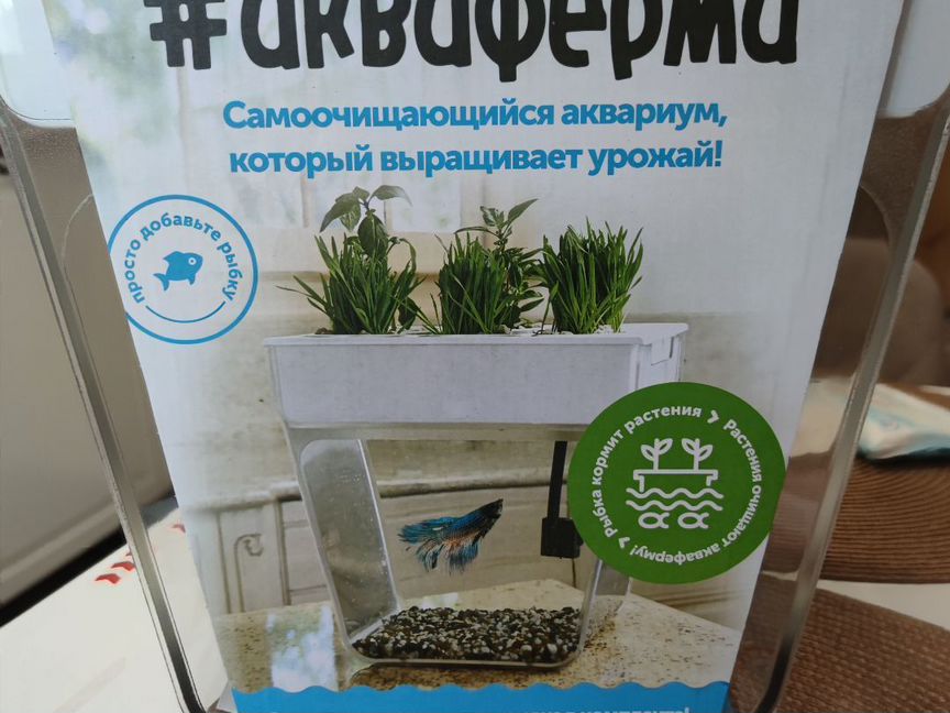 Акваферма новая