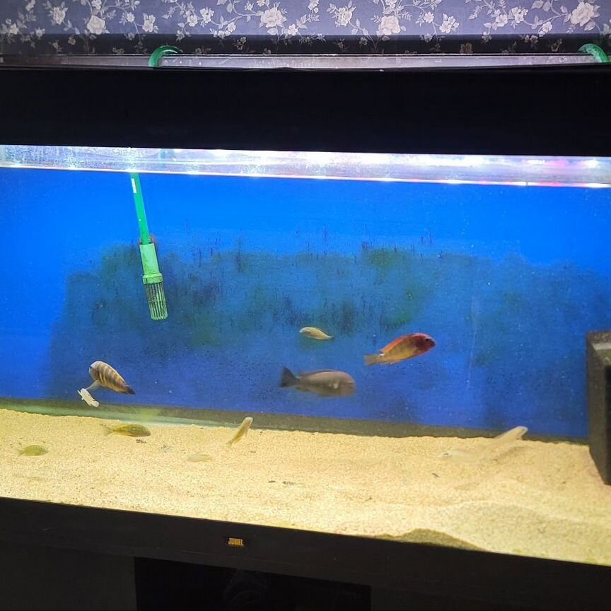 Аквариум 350 литров