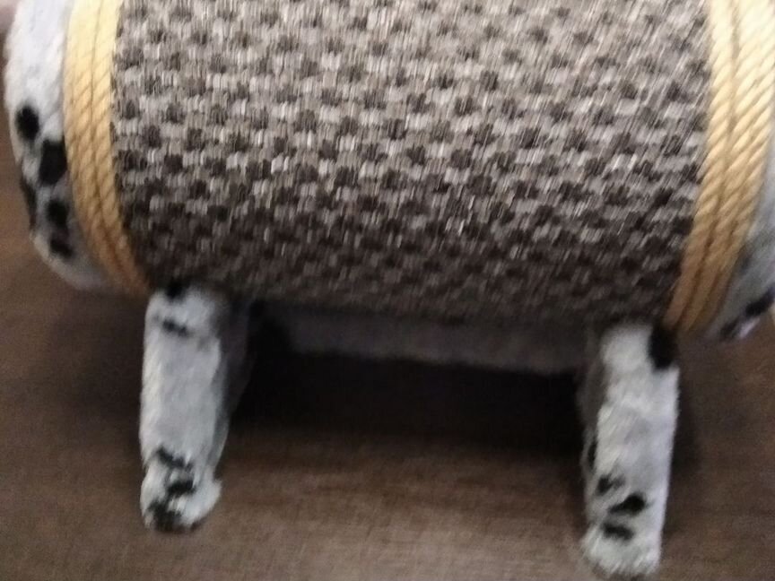 Когтеточка для кошек