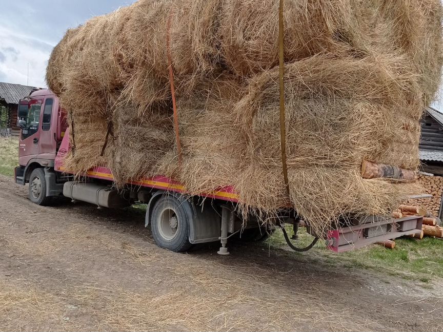 Продам сено в рулонах и мешках
