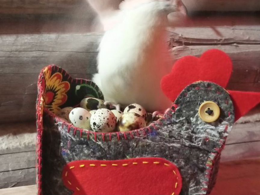 Перепела тихасцы утяжеленные и фараон серебро