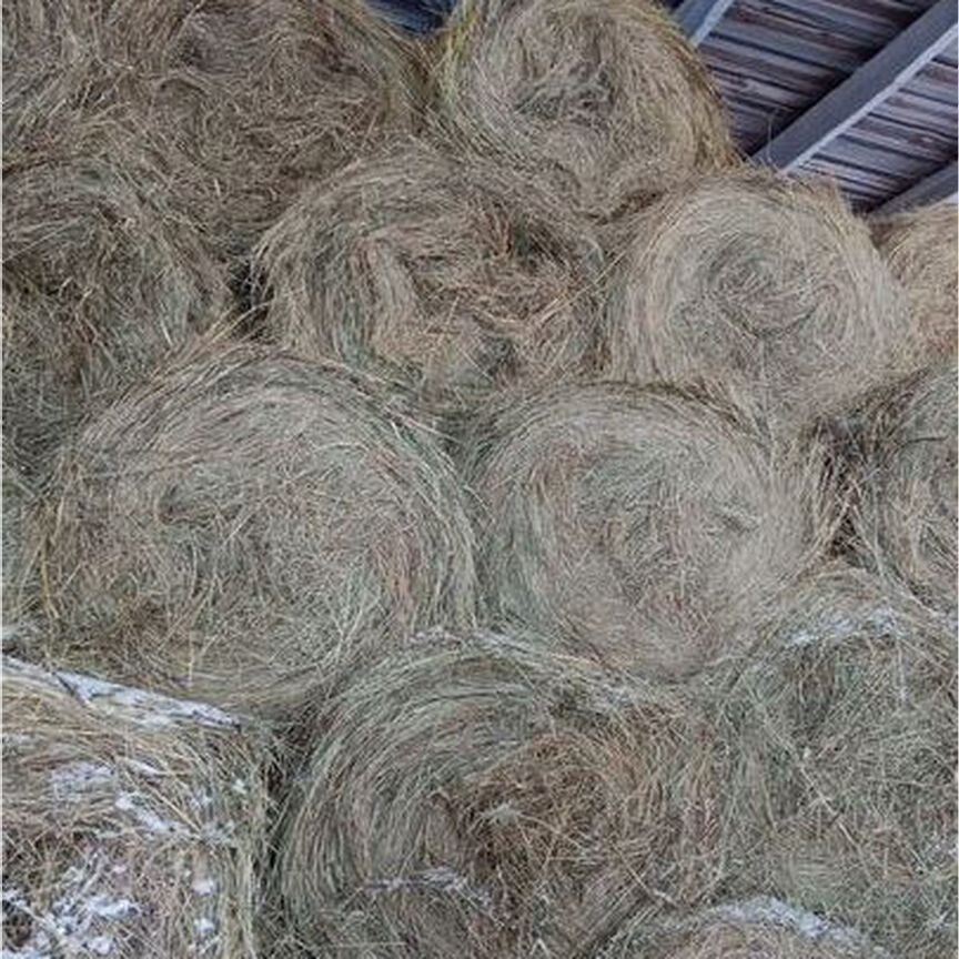 Сено в рулонах