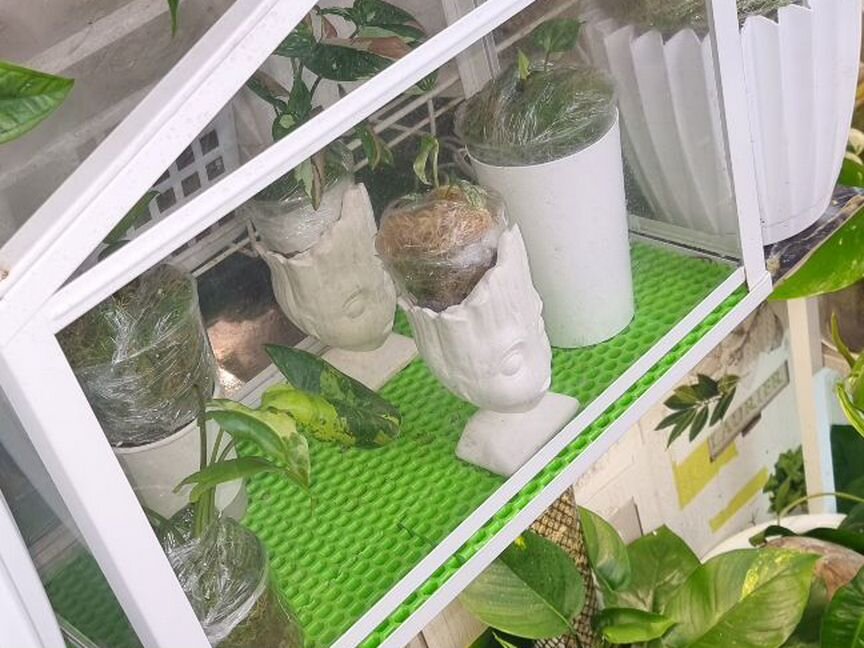 Аквариум тепличка декоративная Икеа