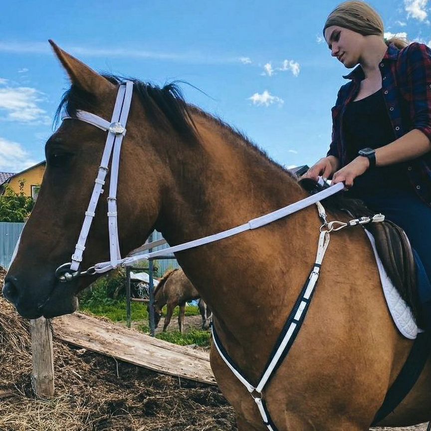 Уздечка мартингал