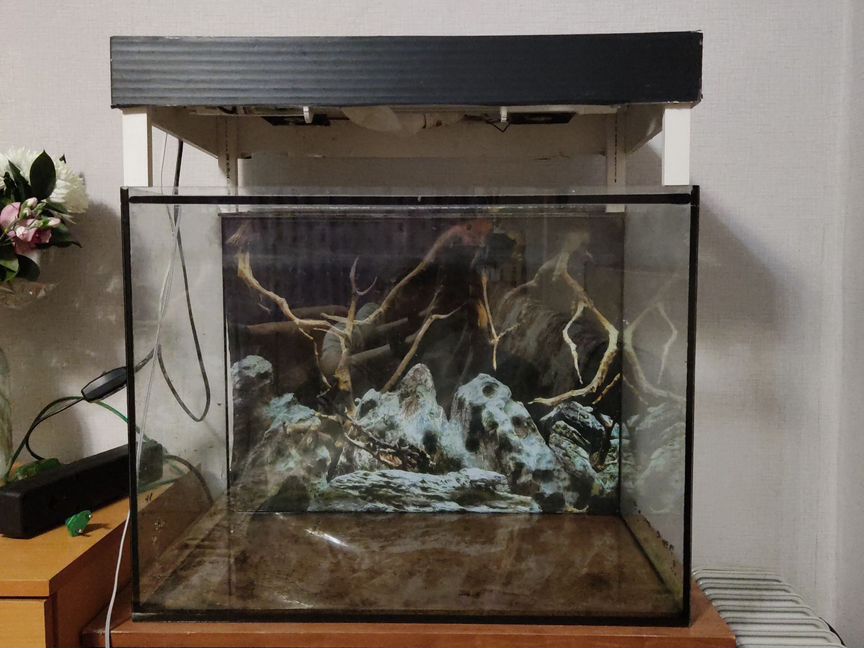 Аквариум 100 литров