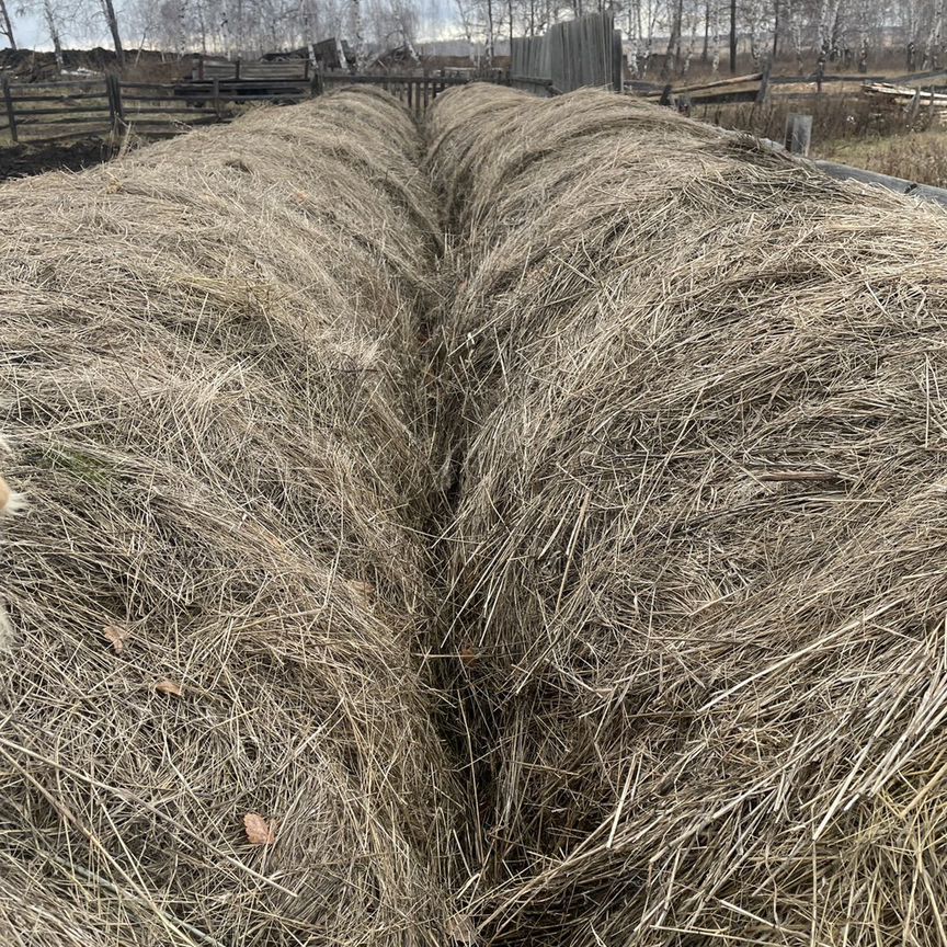 Продам сено в рулонах