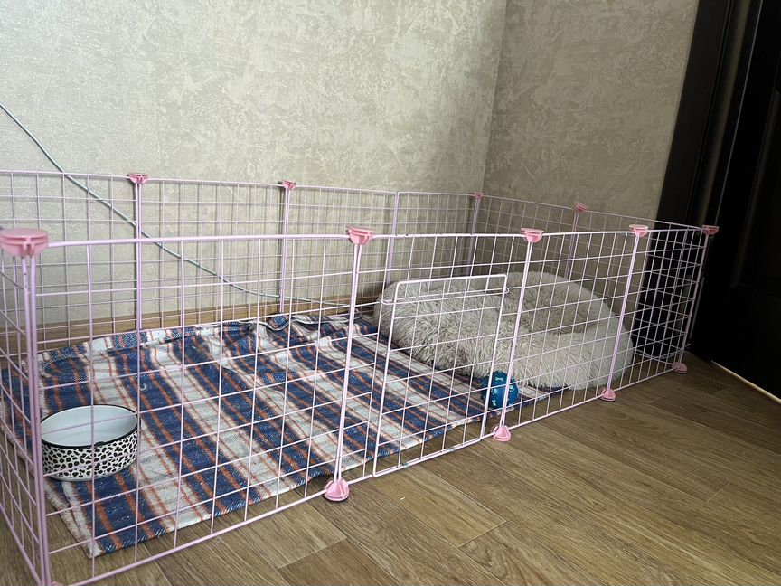 Клетка вольер для животных 35*35
