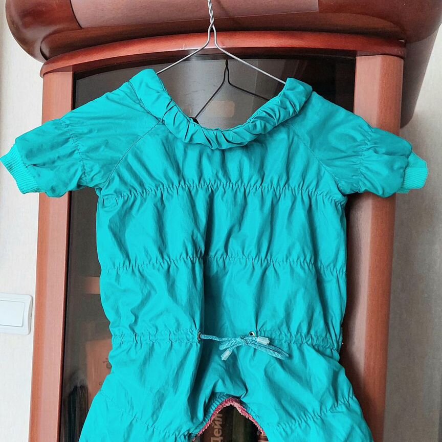 Комбинезон демисезонный для собаки цвергпинчера