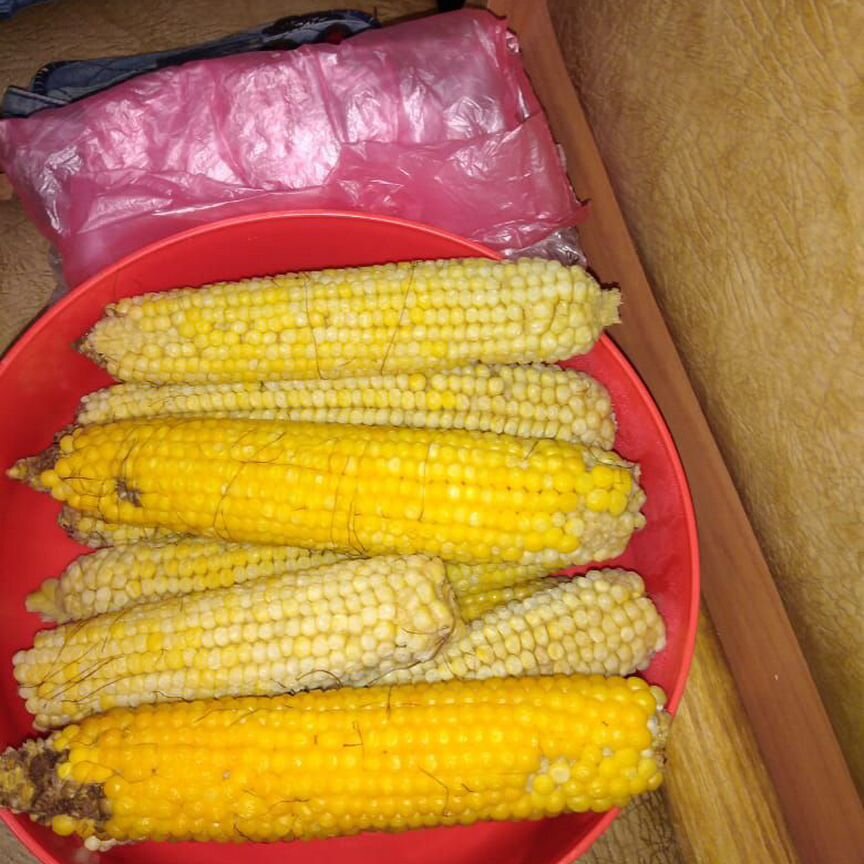 Зерно пшеница ячмень