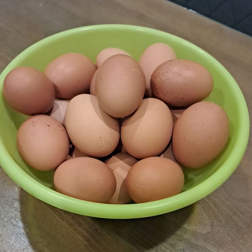 Домашние куриные яйца