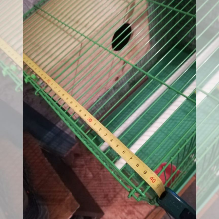 Клетка для попугаев