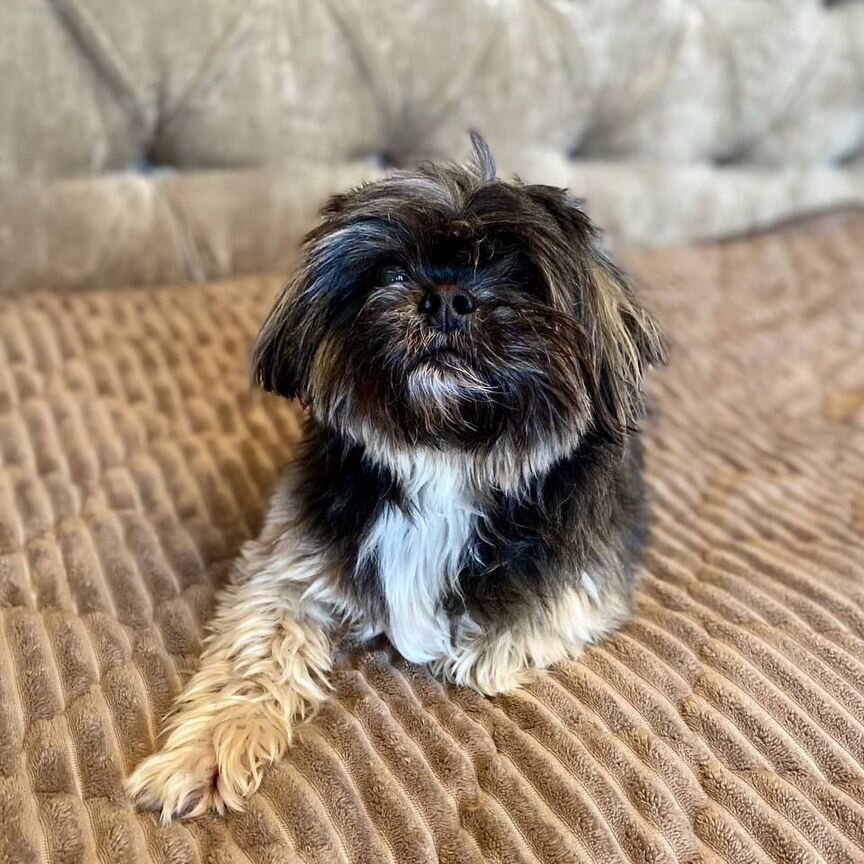 Маленький малыш ждёт человека