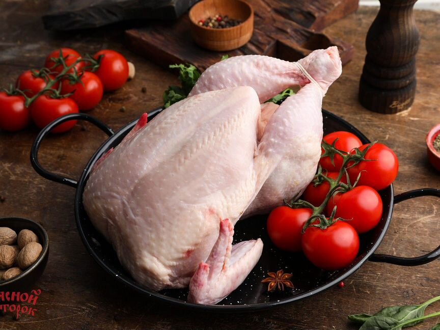 Цыплята бройлеры домашние