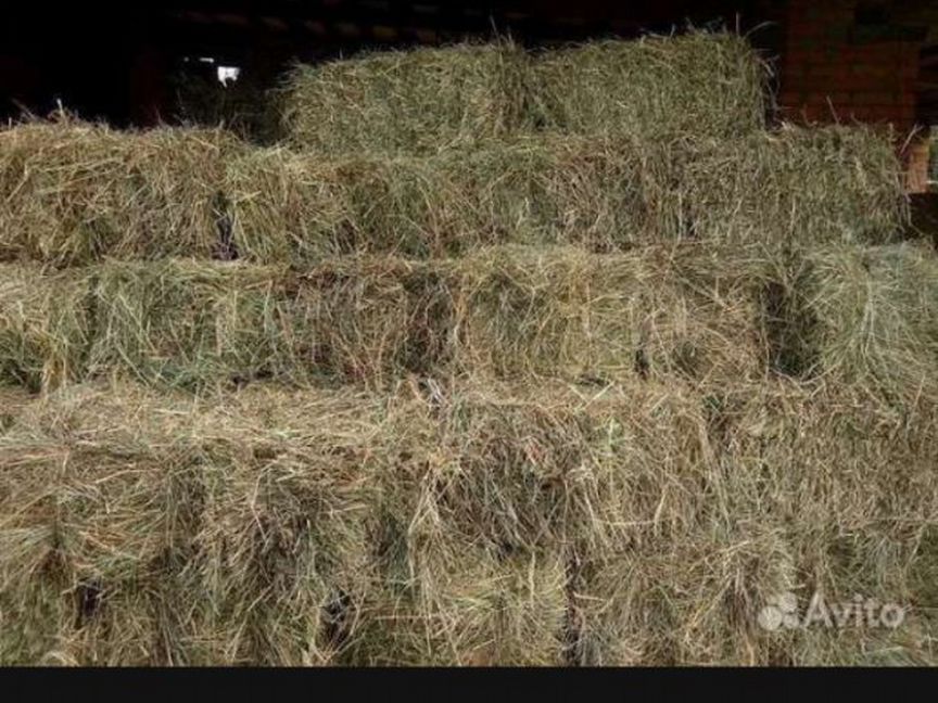 Сено в тюках